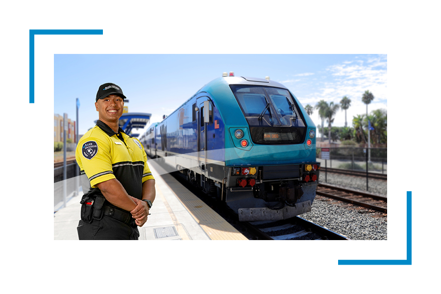 Transit & Public Transportation Security Services